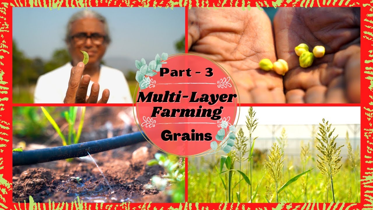 Multi-Layer Farming (grains) : Explained | Part 3 - YouTube