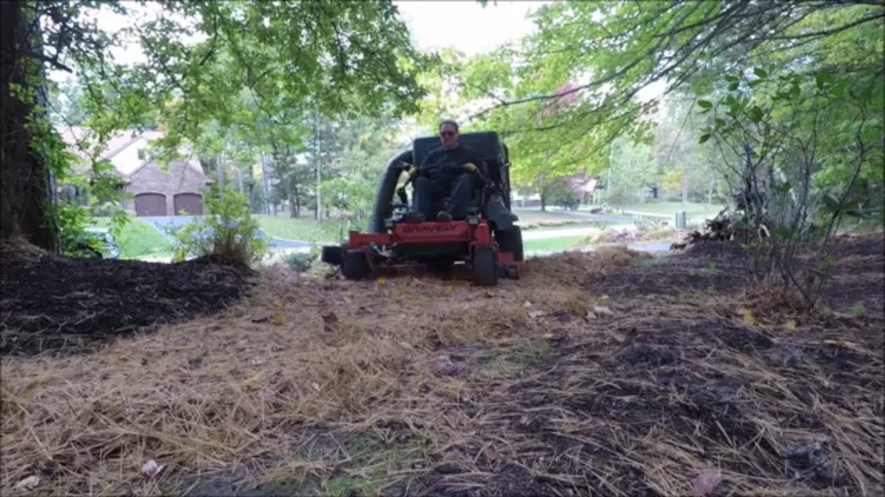 First Fall Cleanup - YouTube
