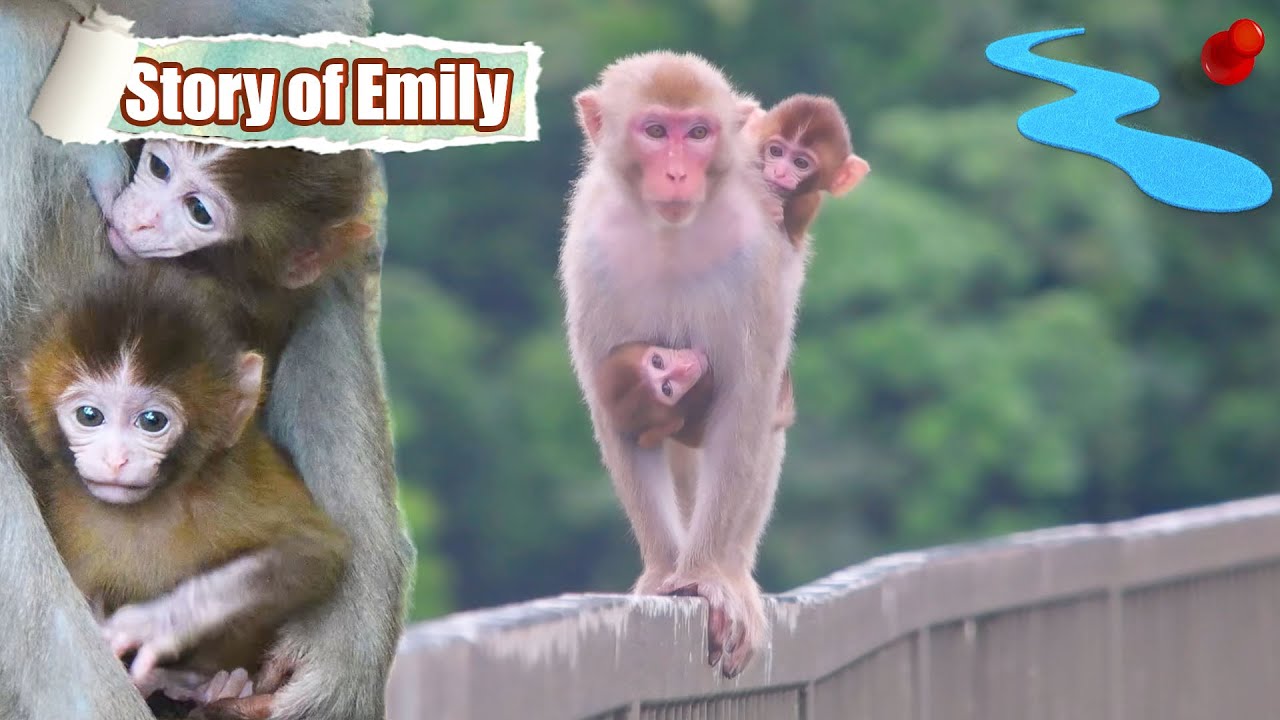 The story of Emily ️ I - The trial of twins and motherhood - YouTube