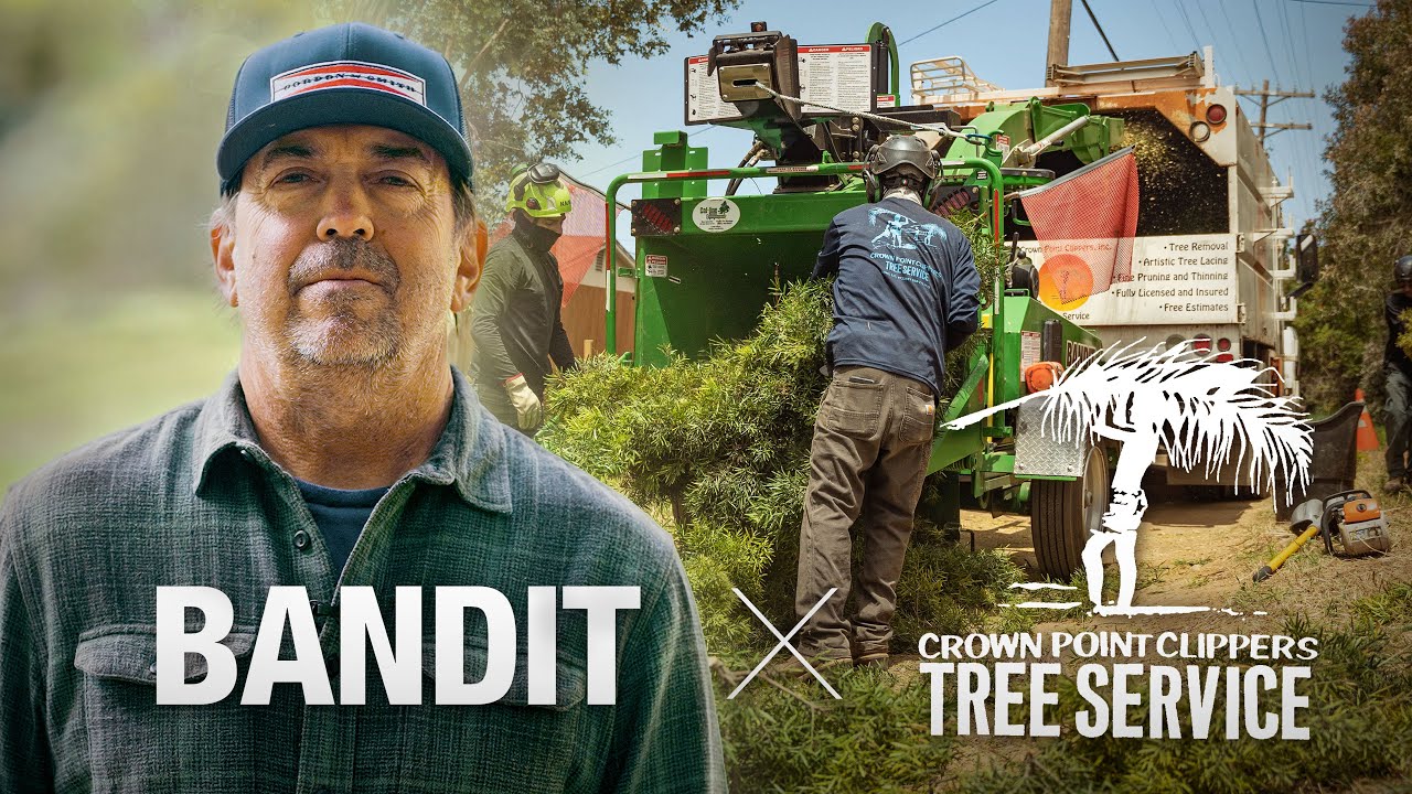 BANDIT & Crown Point Clippers Tree Service (San Diego, CA): Making the ...