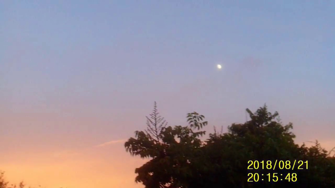 Bugs at sunset. - YouTube