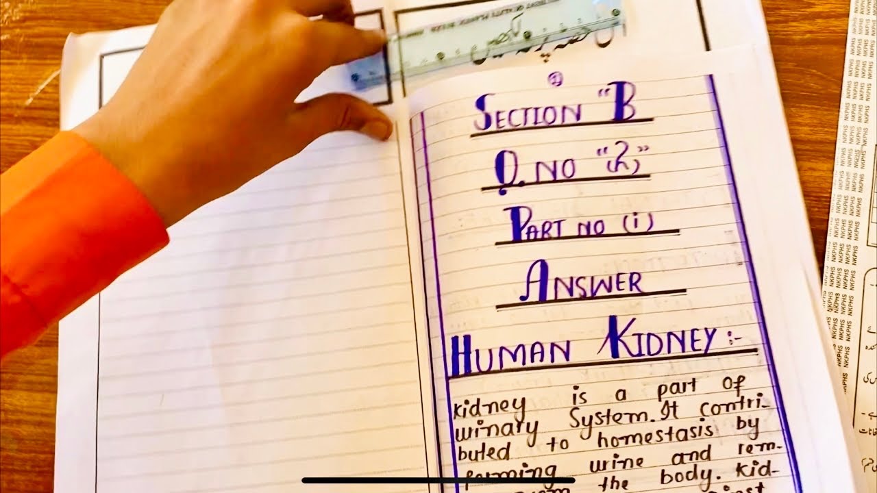 Easy & Attractive Biology Paper Pattern For Board Exams 2021 | Class 9 ...