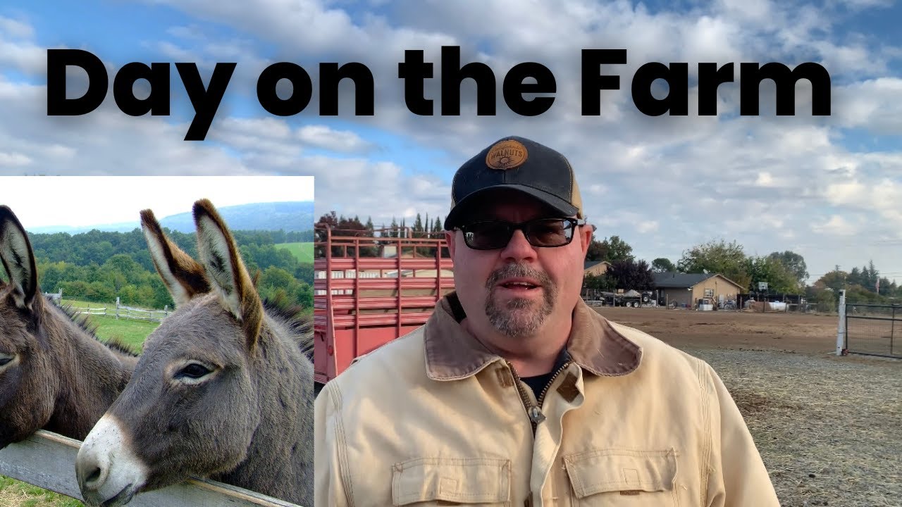 Farm Life - let's get to work feeding animals and in the garden - YouTube