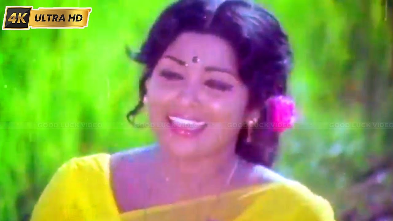 வானில் பறக்கும் பறவை கூட்டம் பாடல் | Vaanil Parakkum Song |Janaki ...