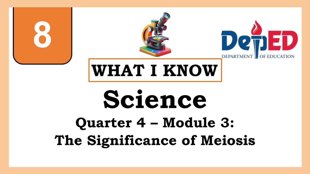 SCIENCE 8 Quarter 4 Module 3 (What I Know) - 15 items l TOPnotchers ...