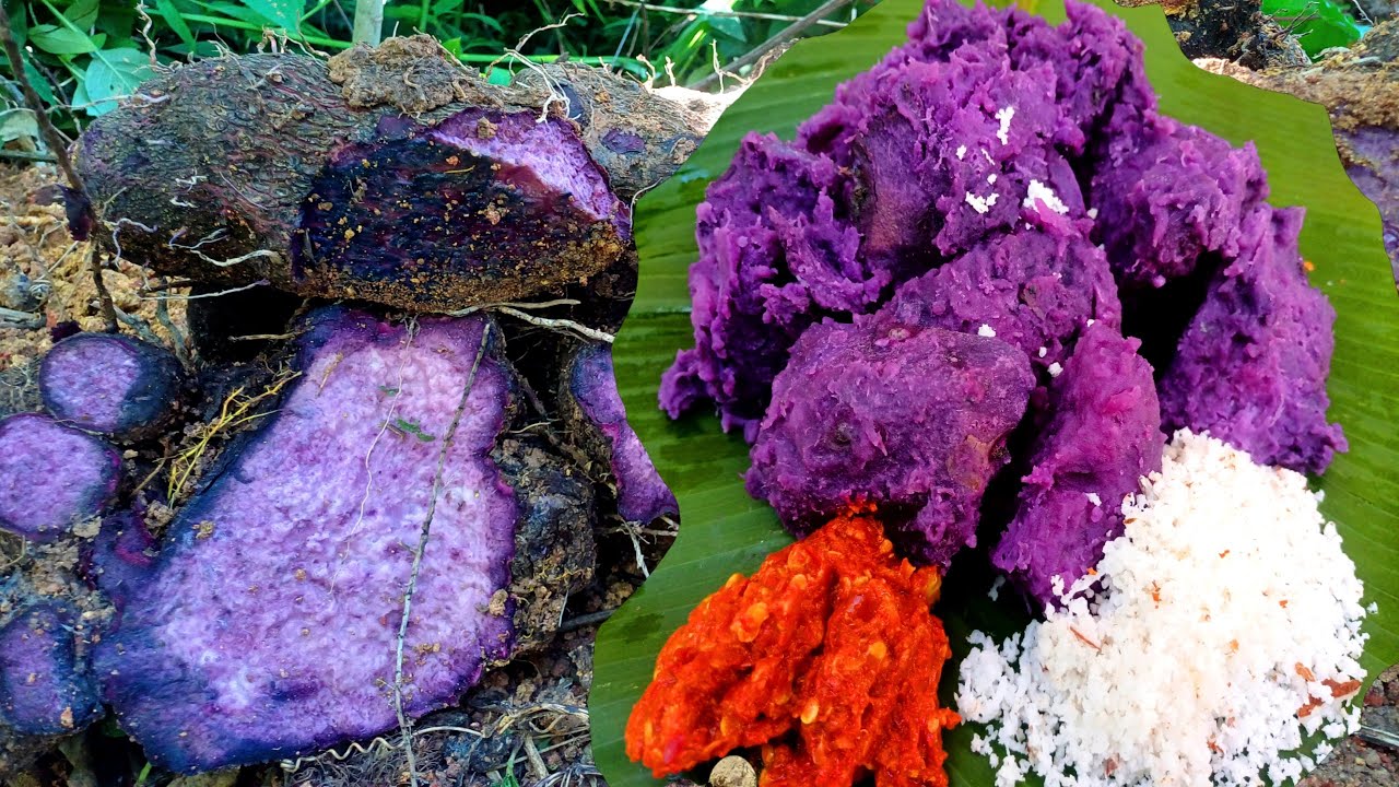 Unearthing and Cooking a Giant Purple Yam: From Forest Discovery to ...