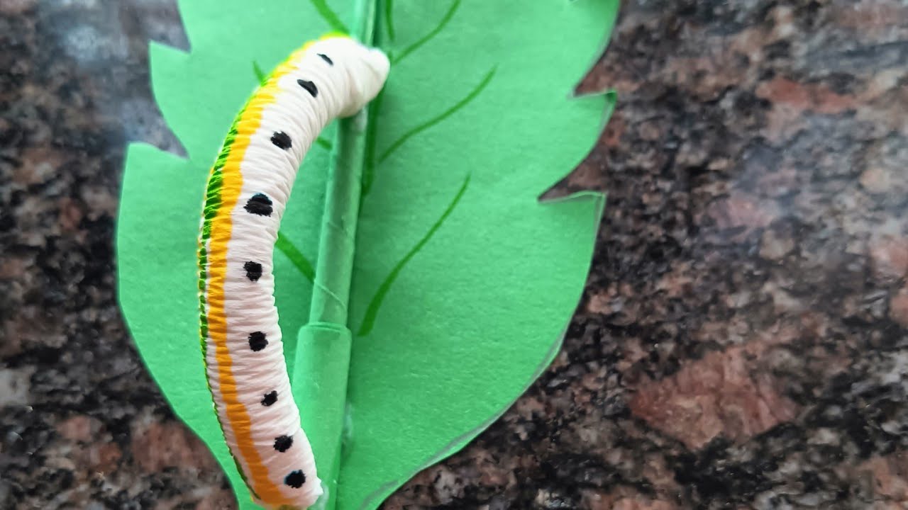 How to make a cute caterpillar using tissue paper|watch till end to see the moving caterpillar ♥ ...
