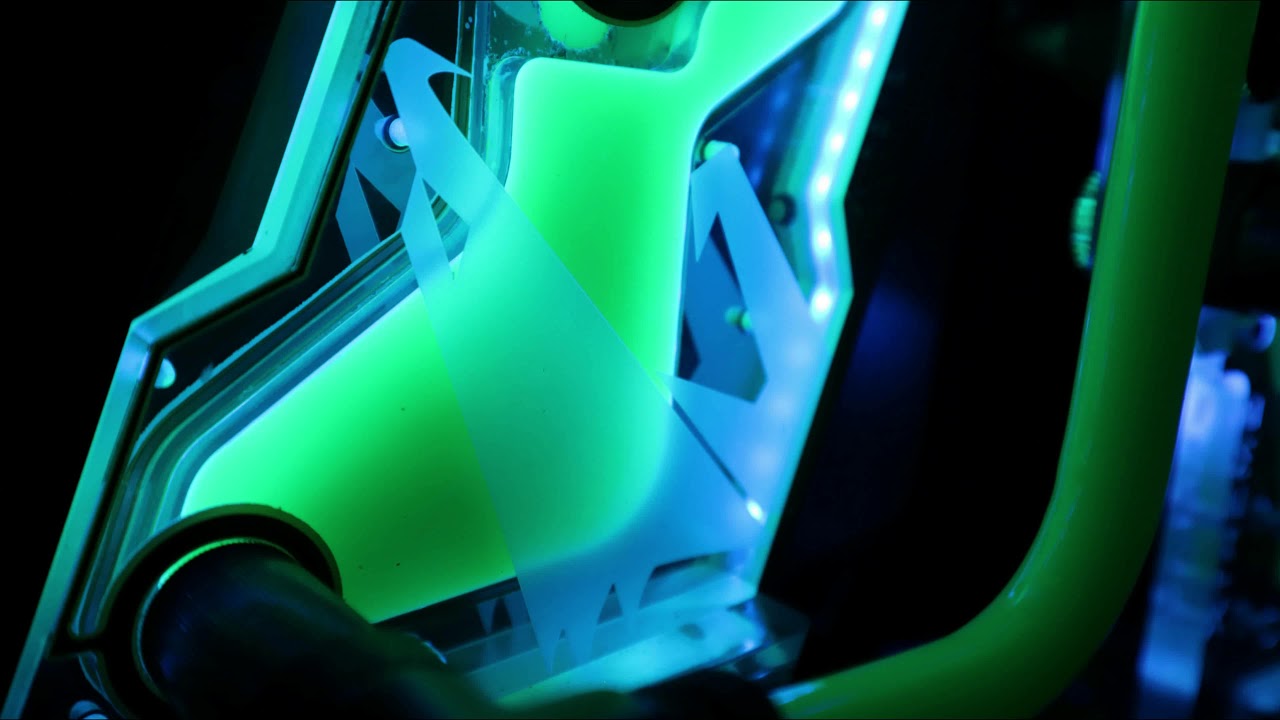 Projekt Waterforce Barrow - Rhopilema - YouTube