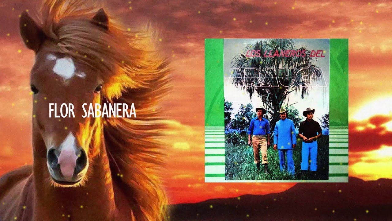 FLOR SABANERA / Arauca - Los Llaneros del Arauca | Música Llanera - YouTube