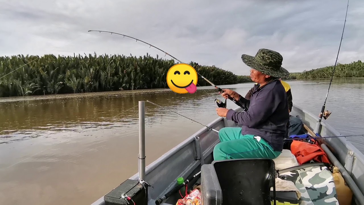 Siakap hunter goldenfish part 2 - YouTube