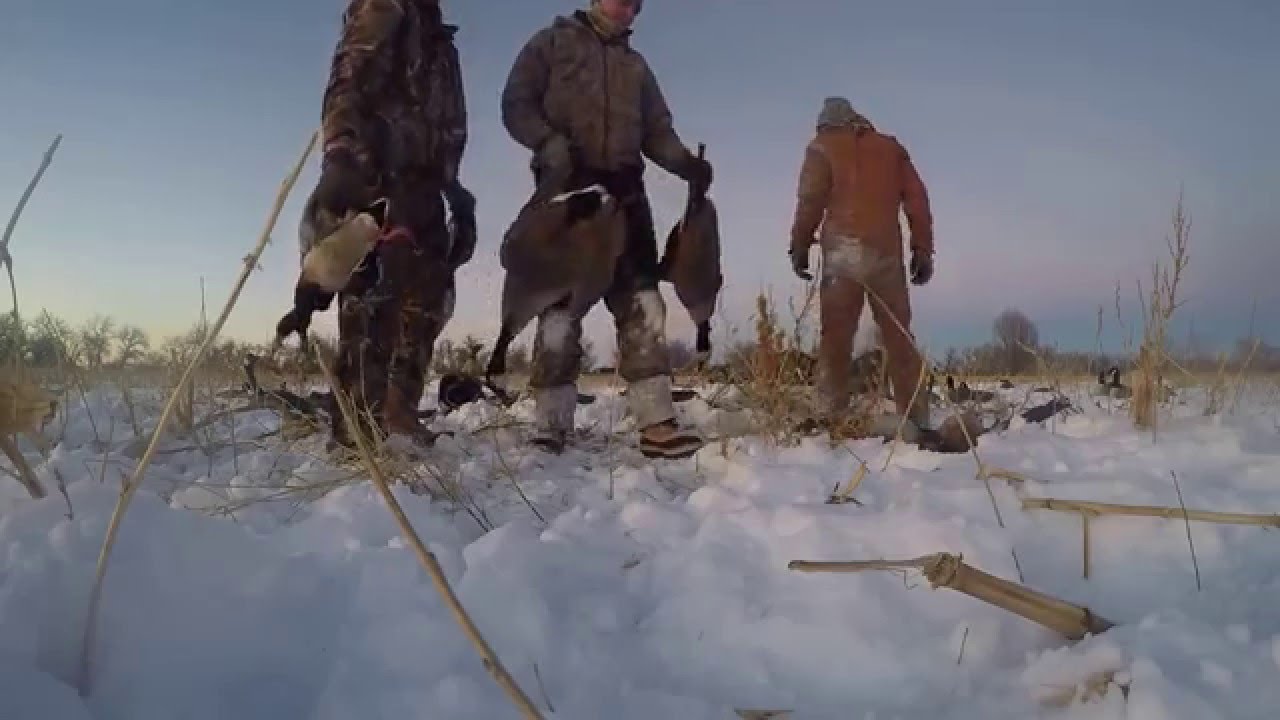 Sterling Corn Field Hunt - YouTube