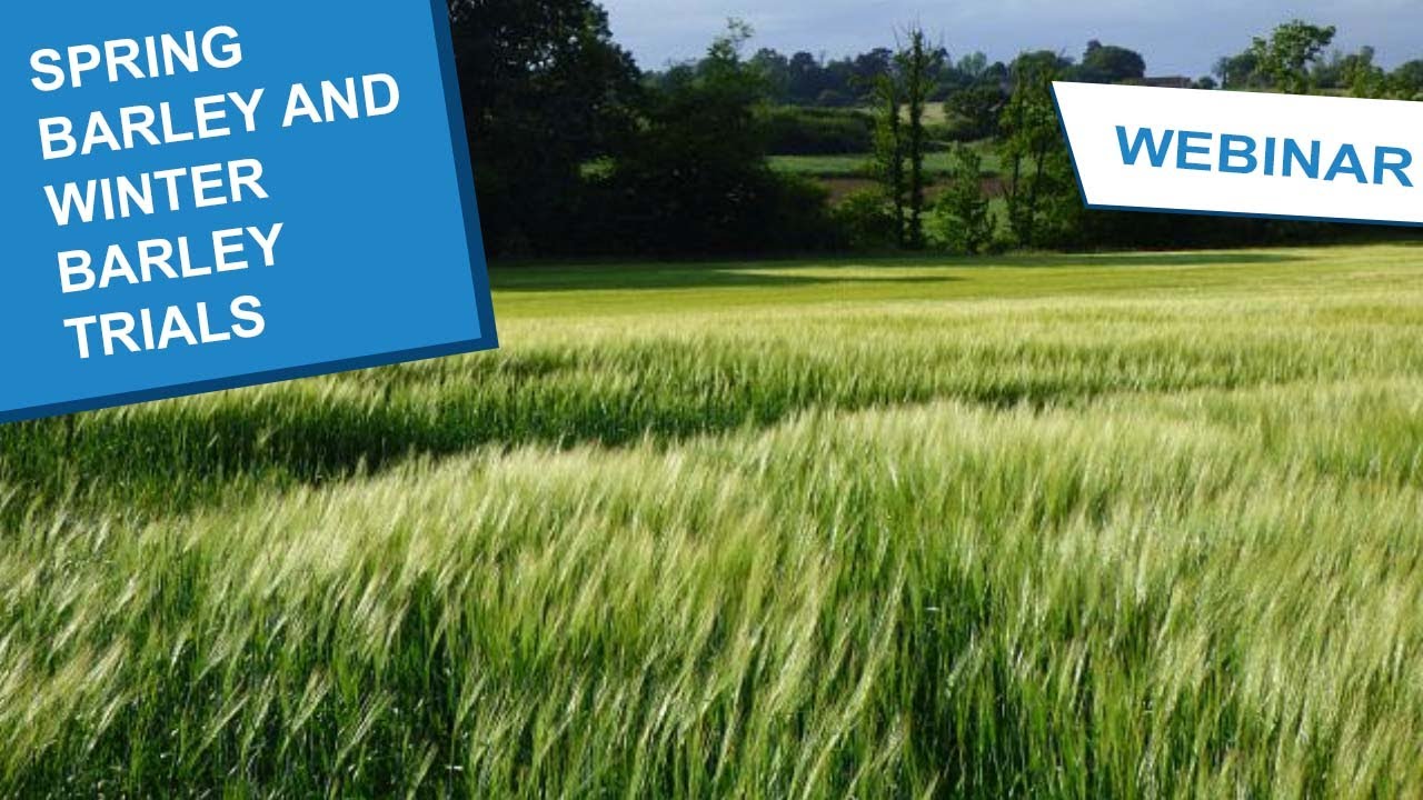 Webinar: Spring Barley & Winter Barley Trials - YouTube