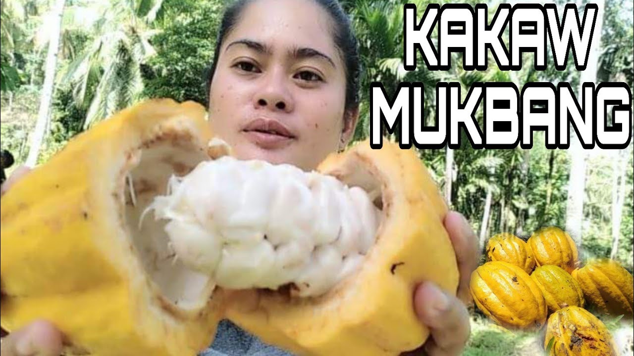 KAKAW MUKBANG / CACAO FRUITS | Inday grace channel - YouTube