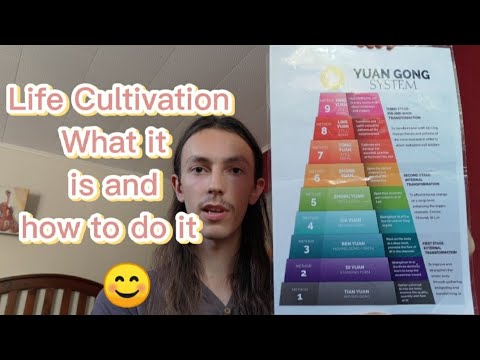 What is life cultivation? How can we cultivate life? - YouTube