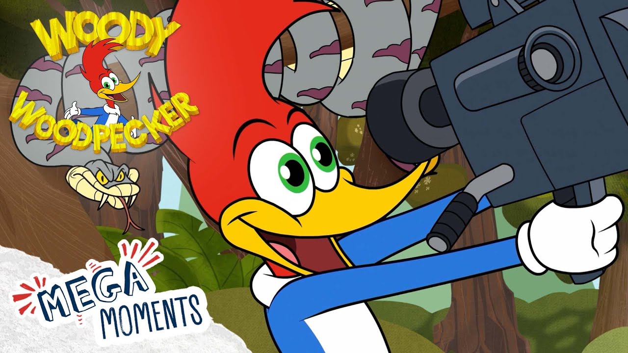 Lights, Camera, Action! 📸 | Woody Woodpecker | Compilation | Mega ...