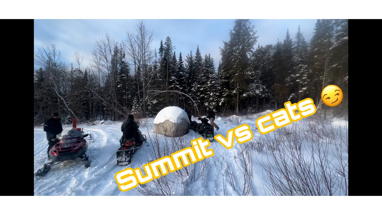 Summit vs kitty cats ill catch you next time 😏 - YouTube