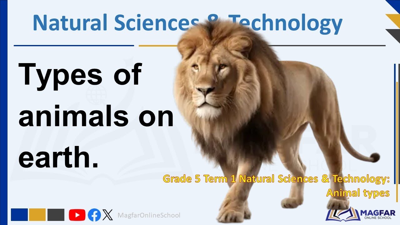 Grade 5 Term 1 Natural Sciences and Technology: Animal types - YouTube