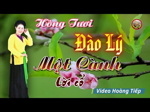 Hồng Tươi | Giọng Hát Lôi Cuốn Người Nghe, với Bài Hát Chèo Lời Cổ | Đào Lý Một Cành
