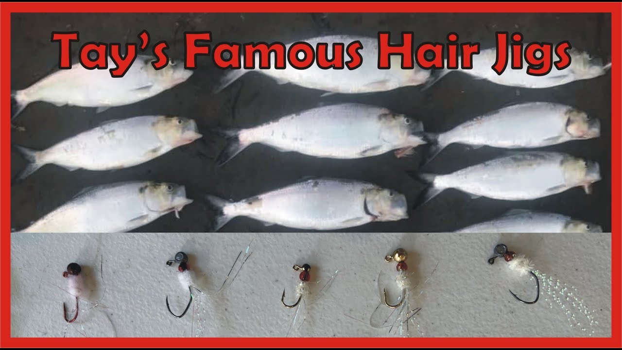 SACRAMENTO RIVER Fishing | How To Make a Poor Man's AMERICAN SHAD ...