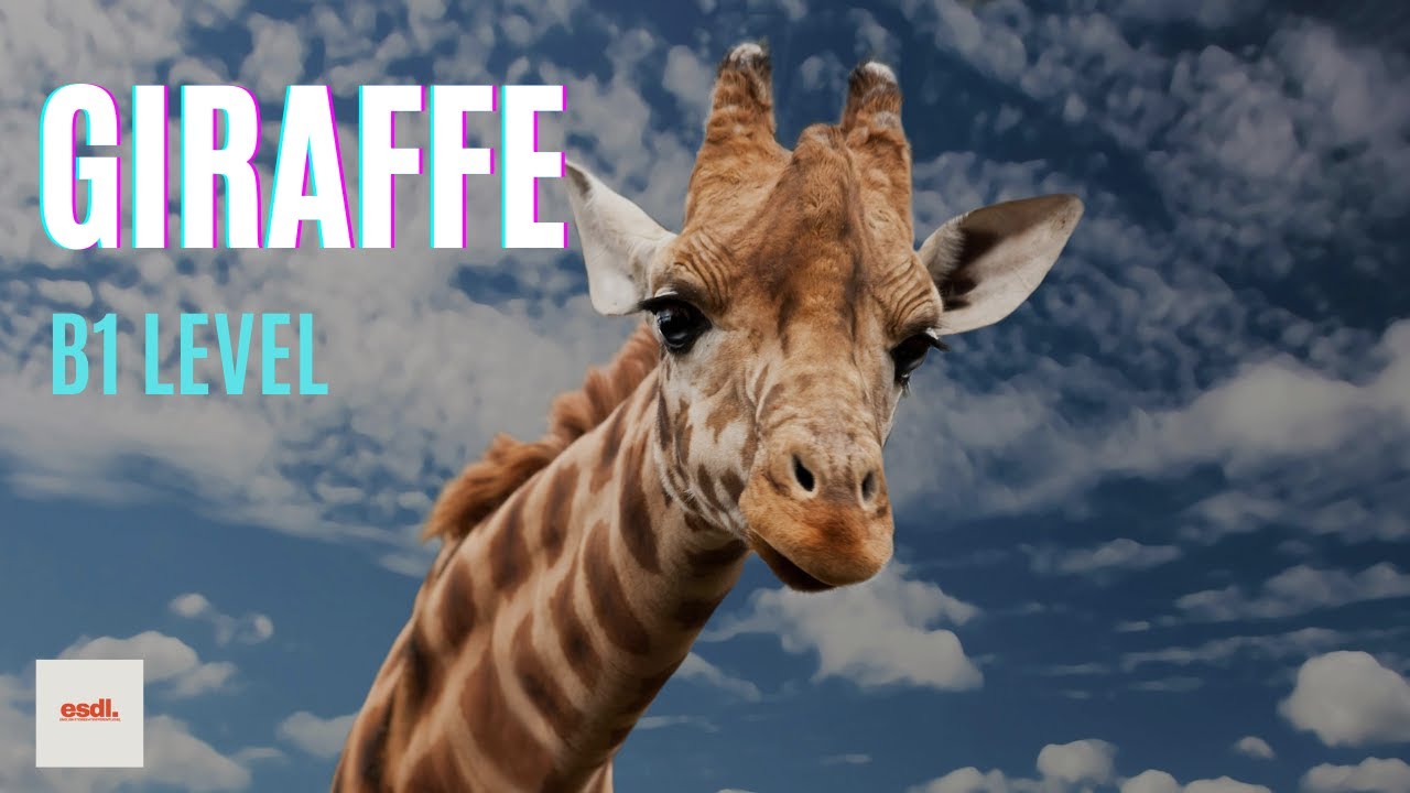 Giraffe-English B1 Level Story - YouTube