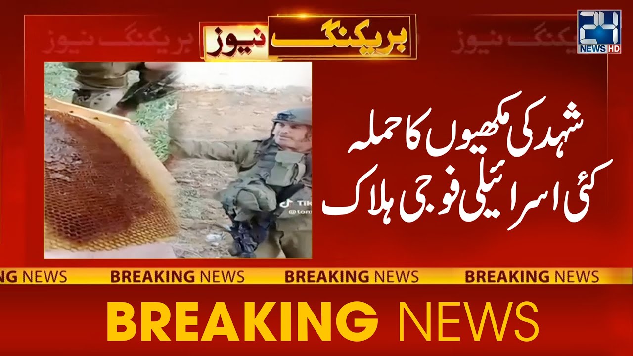 Honey Bees Attack On Israeli Soldiers - 4 Israeli Soldiers Died - 24 ...