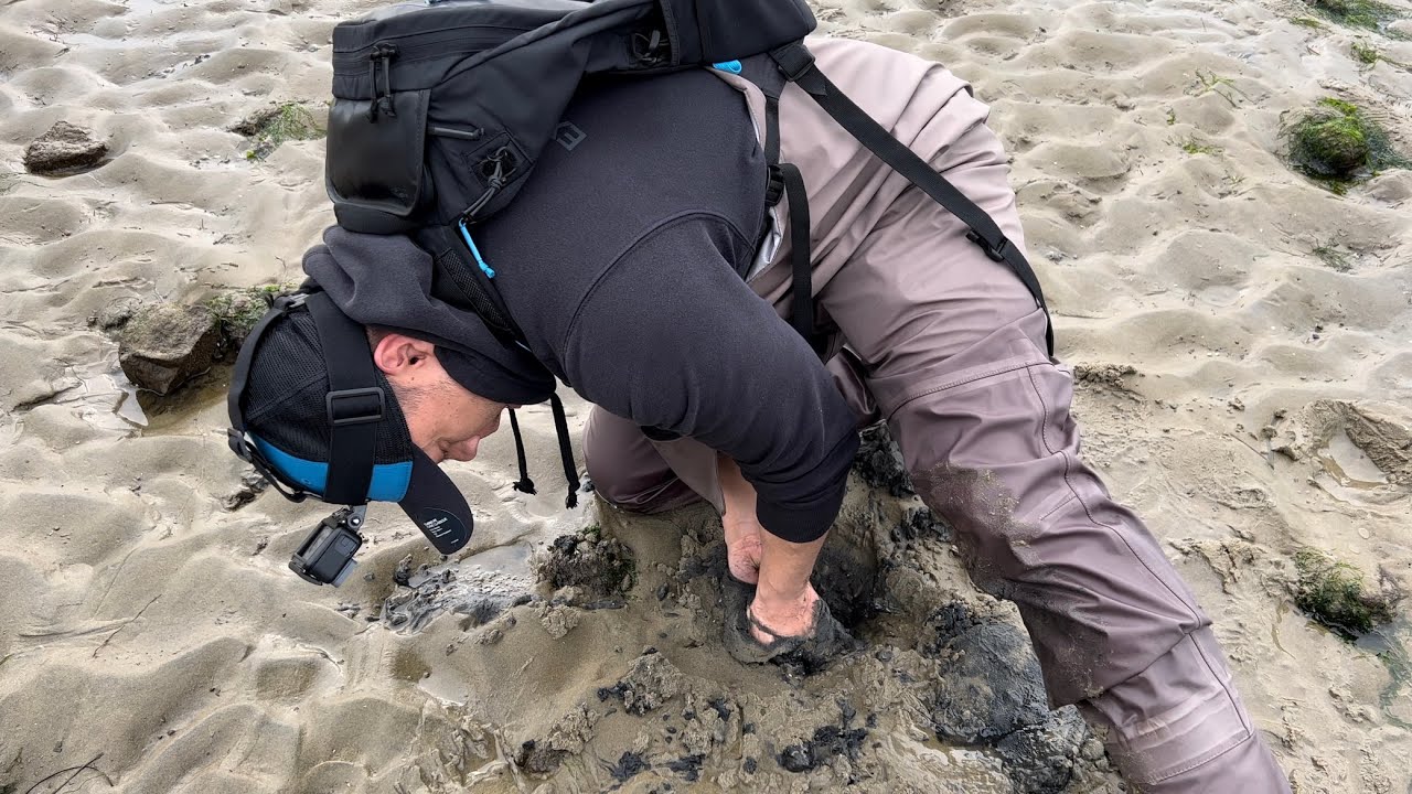 MONSTER CLAM! Is it a Gaper Clam or Geoduck!?? 😱 - YouTube