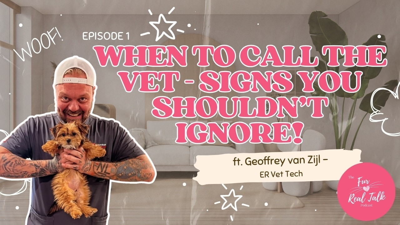 #1 Don’t Wait Until Morning: ER Vet Tech @AintDoinRight Explains ...
