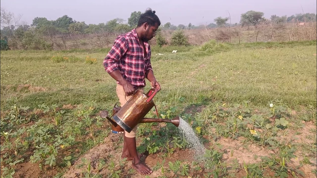 आज चाँदपुर में | Bhumij Vlog | @jagadishdonda | New Bhumij Video 2023 ...