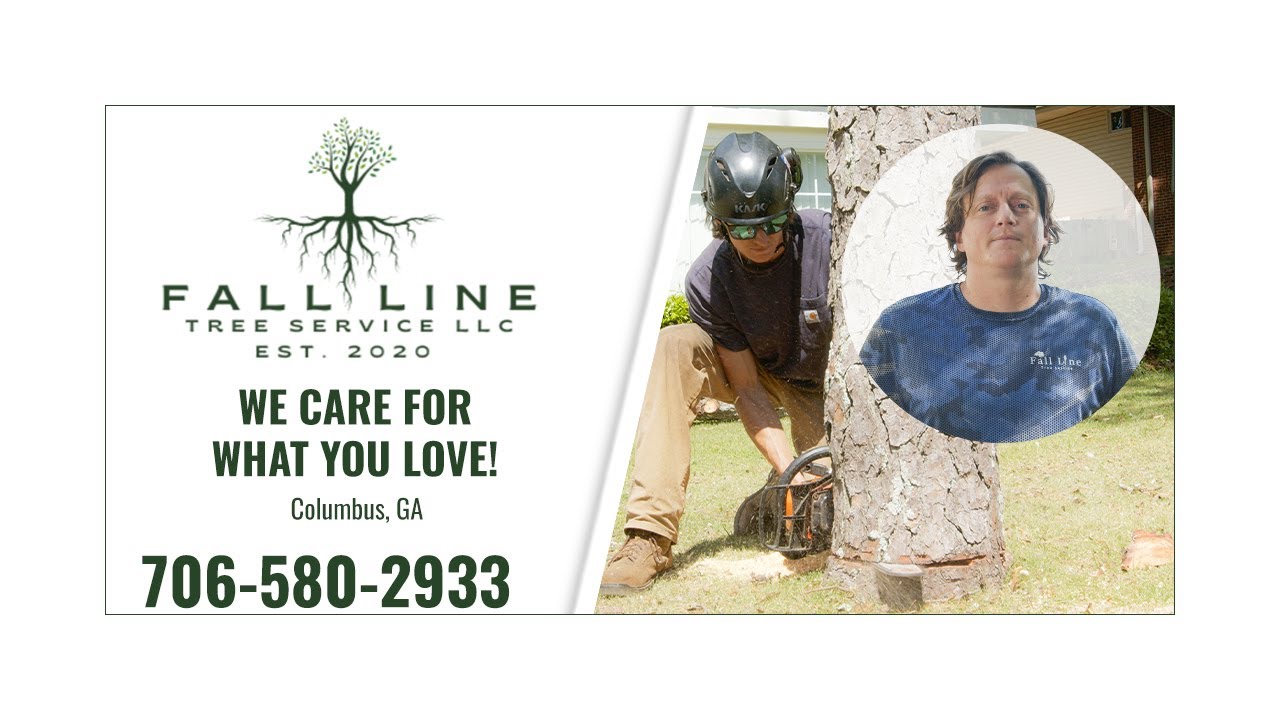 Fall Line Tree Service - YouTube