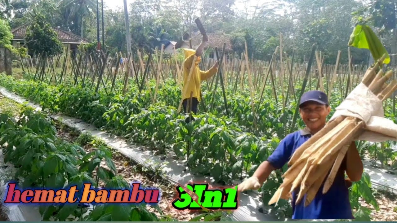 PEMASANGAN LANJARAN 3 IN 1 .LEBIH HEMAT TETEP KUWAT - YouTube