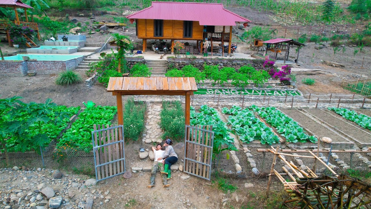 Build a farm gate, make delicious cakes from peanuts and a vegetable ...