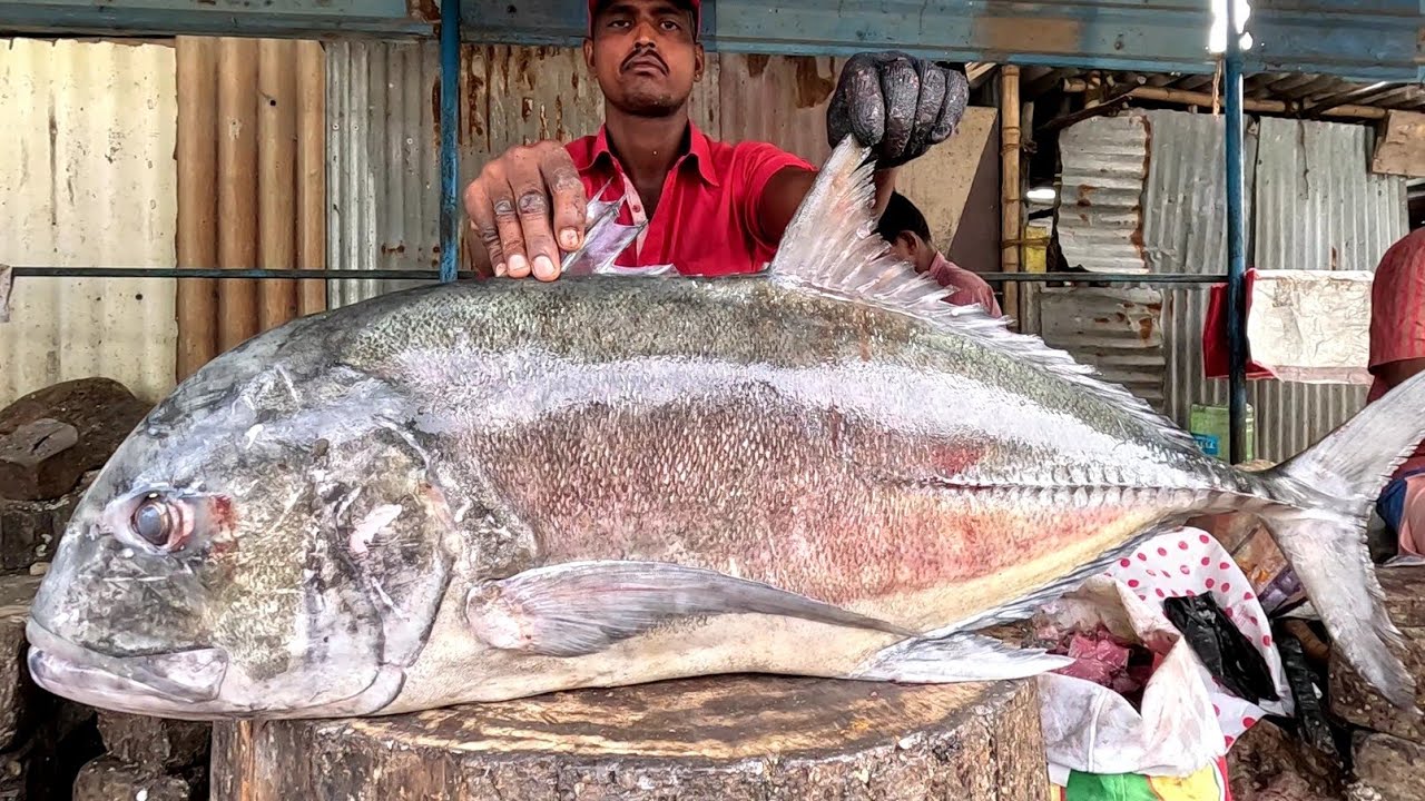 TREVALLY FISH CUTTING SKILLS - YouTube