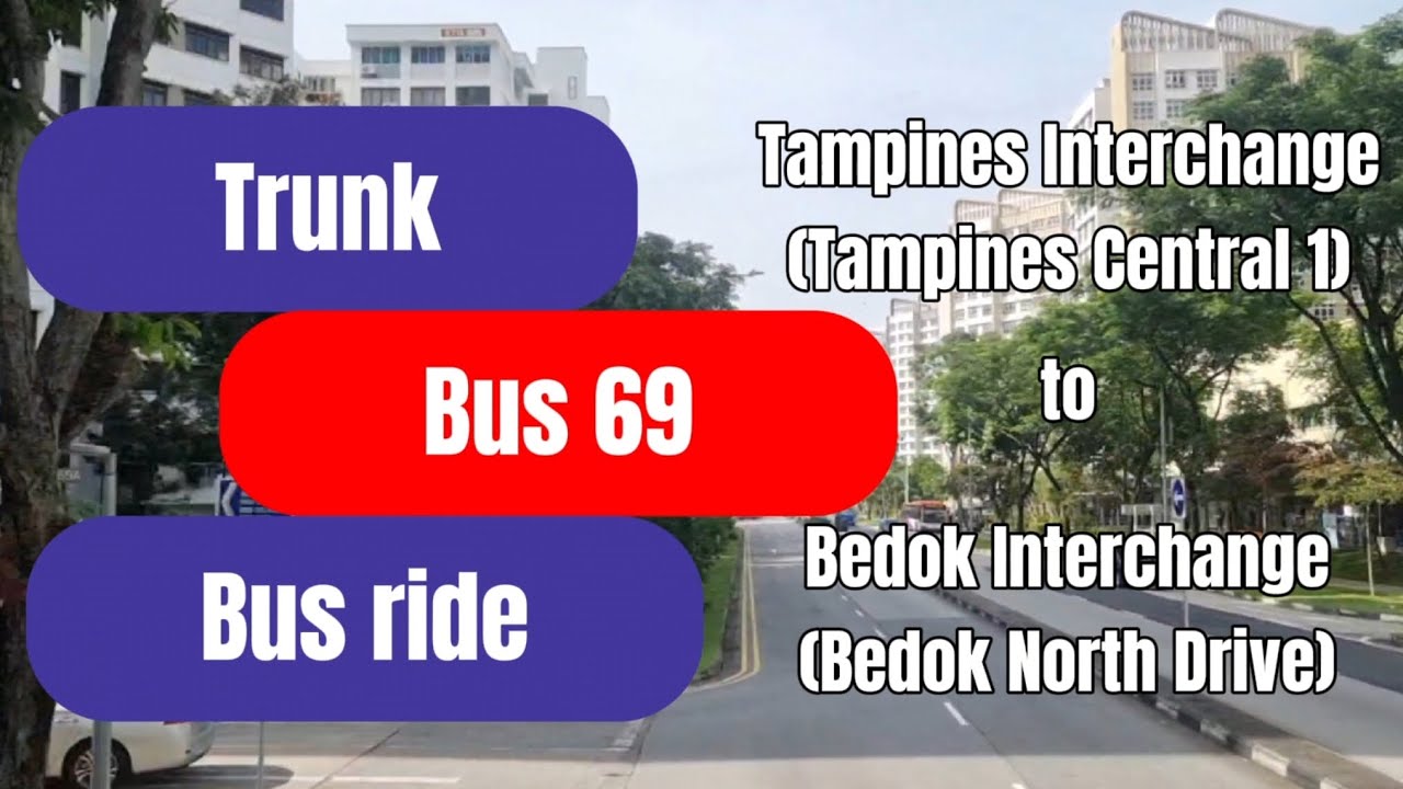Trunk bus 69 (bus ride) - YouTube