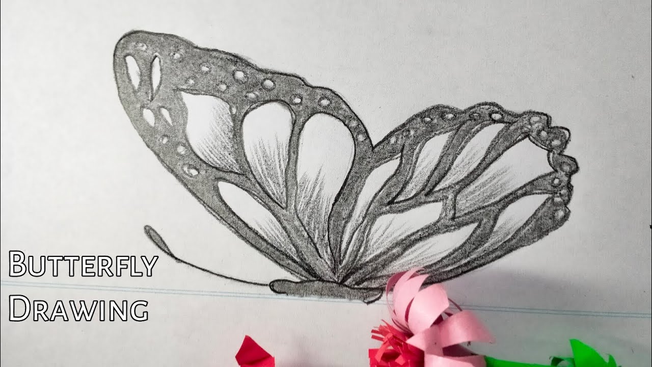 How To Draw A 🦋Butterfly Wings For Beginners || Pencil Sketch ...
