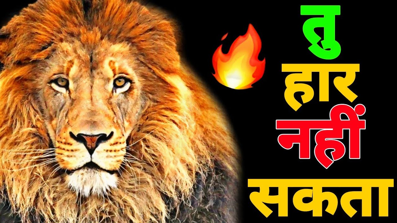 हारना नहीं है Motivation | Don't Give Up | Never Give Up Motivational ...