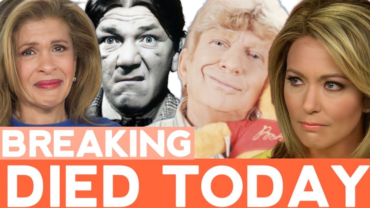 7 Famous Celebrities Who Died Today on 22 November 2023 / USA Celebrity ...