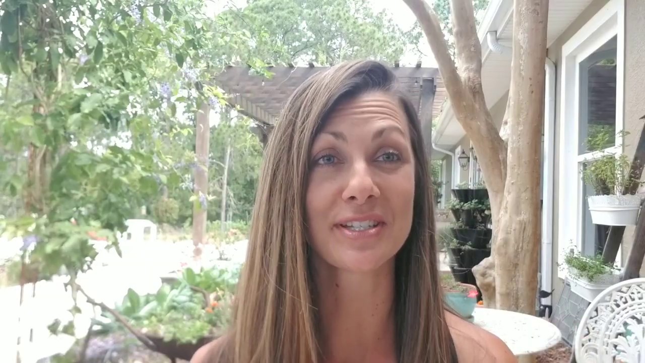 Gardening for Beginners| Start Gardening Today! - YouTube