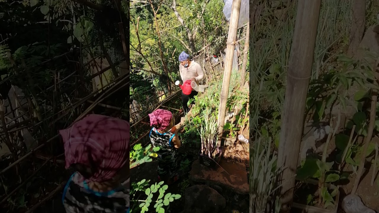 Batang matulungin - YouTube