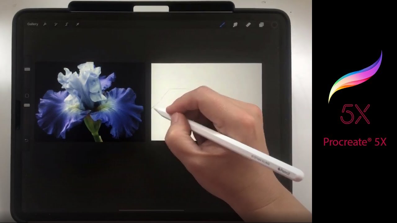 Procreate 5X New Features Part 3 Reference Panel Private Layers And Canvas Size YouTube Procreate 5X New Features Part 3 Reference Panel Private Layers And Canvas Size YouTube