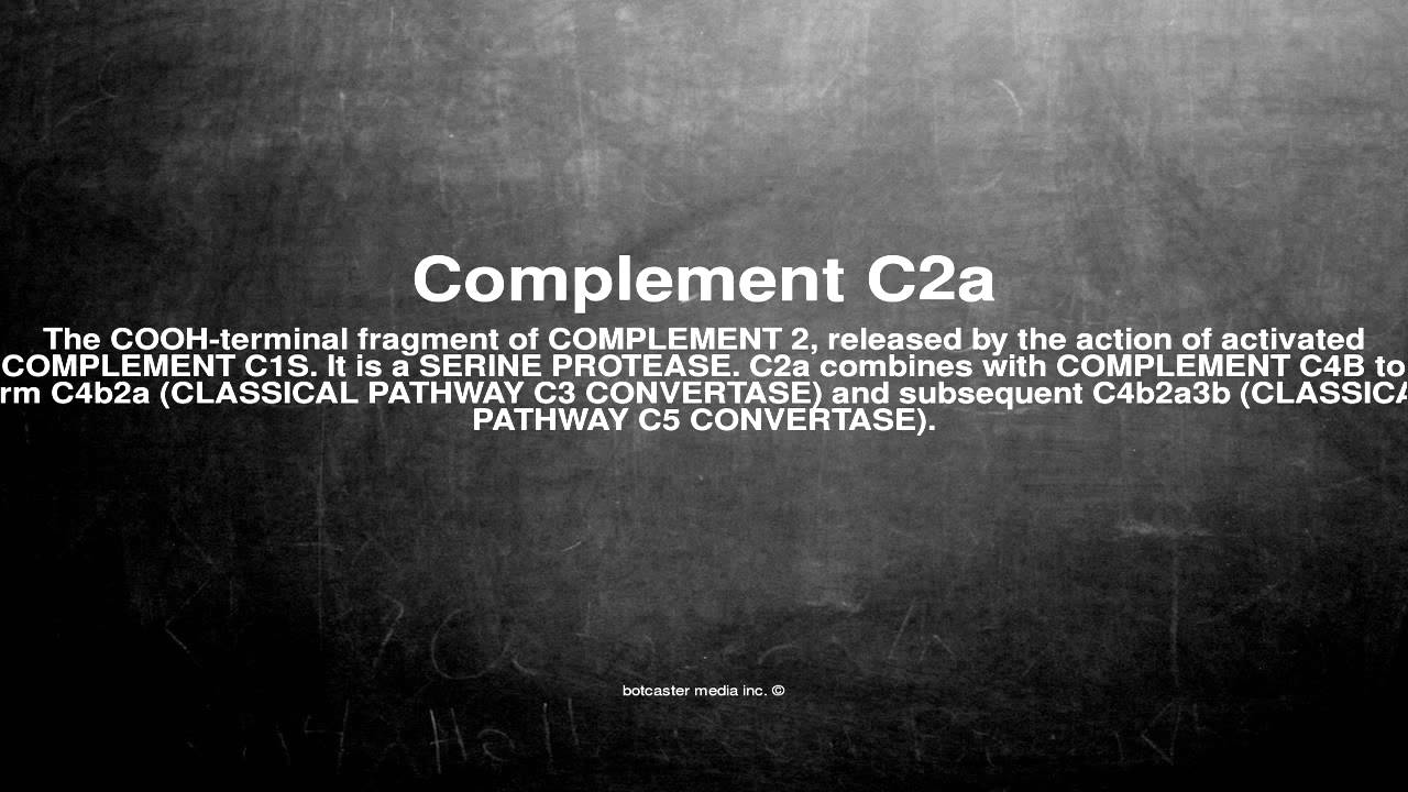 Medical Vocabulary What Does Complement C2a Mean YouTube medical-vocabulary-what-does-complement-c2a-mean-youtube