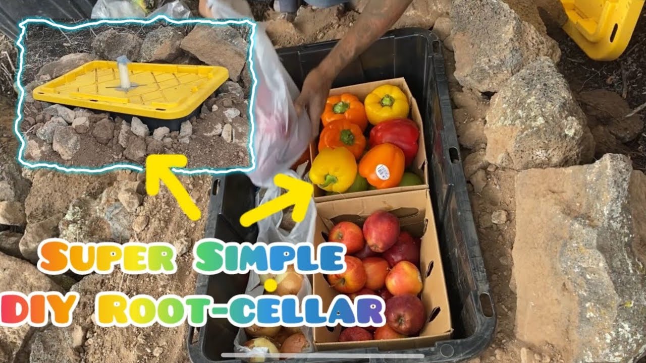 DIY Mini Root Cellar from a Plastic Tote | Easy & Affordable Food ...