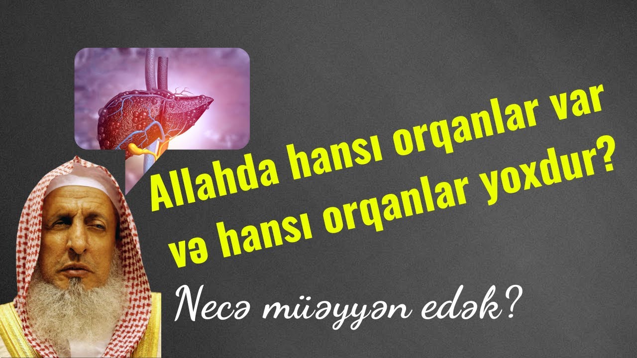 🧠⛔ Allahda hansı orqanlar var? / İbn Teymiyyə cavab verir ...