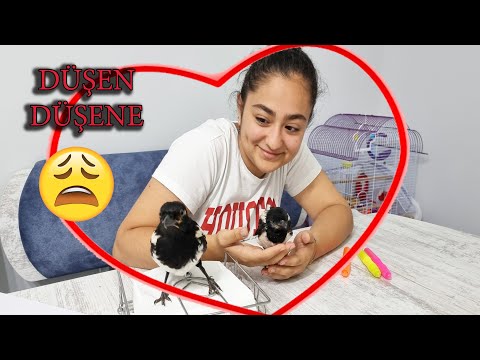 ALLAHIM NEYDİ GÜNAHIM ? DÜŞÜP GELEN GELENE