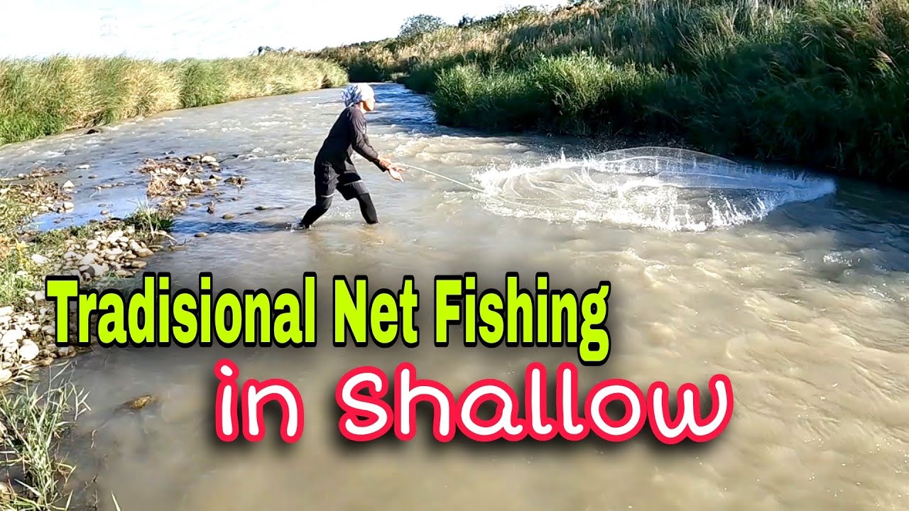 TRADITIONAL NET FISHING IN SHALLOW, Cast Netting In The River - YouTube