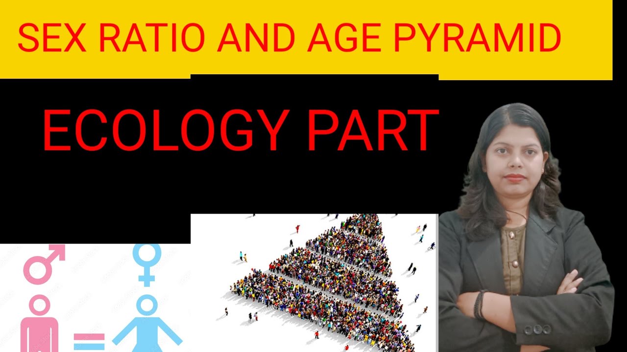 sex ratio and age pyramid for class 12 th part ecology - YouTube