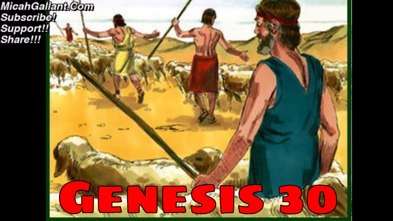 Genesis 30 - Scriptures Read Aloud, Jacob Prospers, Splitting Labans ...