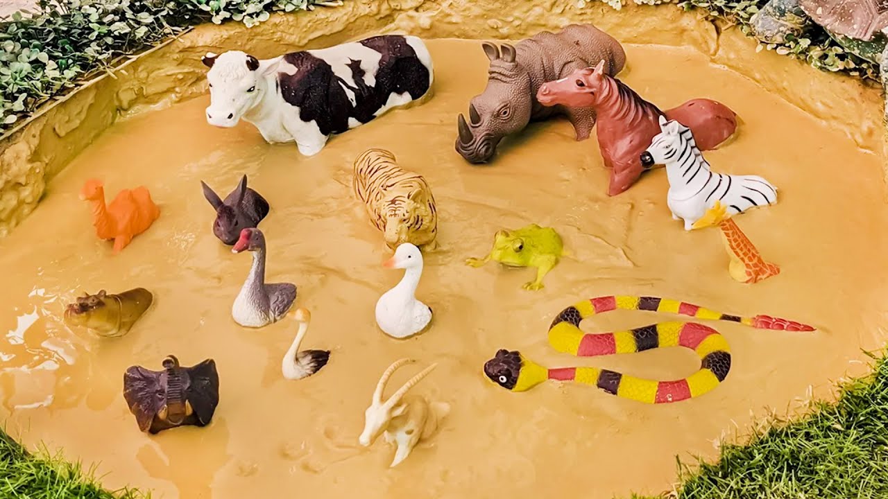 Farm Animal Cow African Rhino Big Horse Zebra Farm Animals Zoo Animals ...