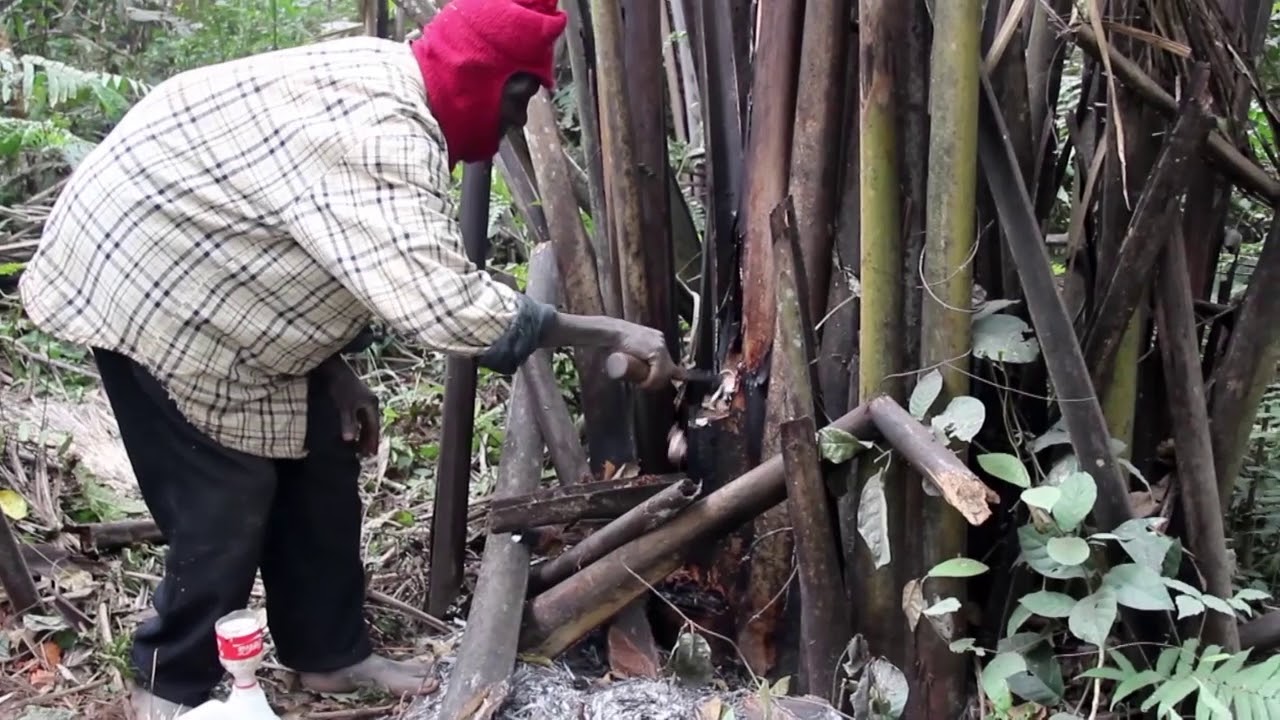 The story of Mimbo - YouTube