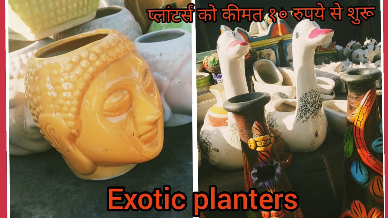EXOTIC PLANTERS, pots and planters with price, plant pots, Ceramic pots ...