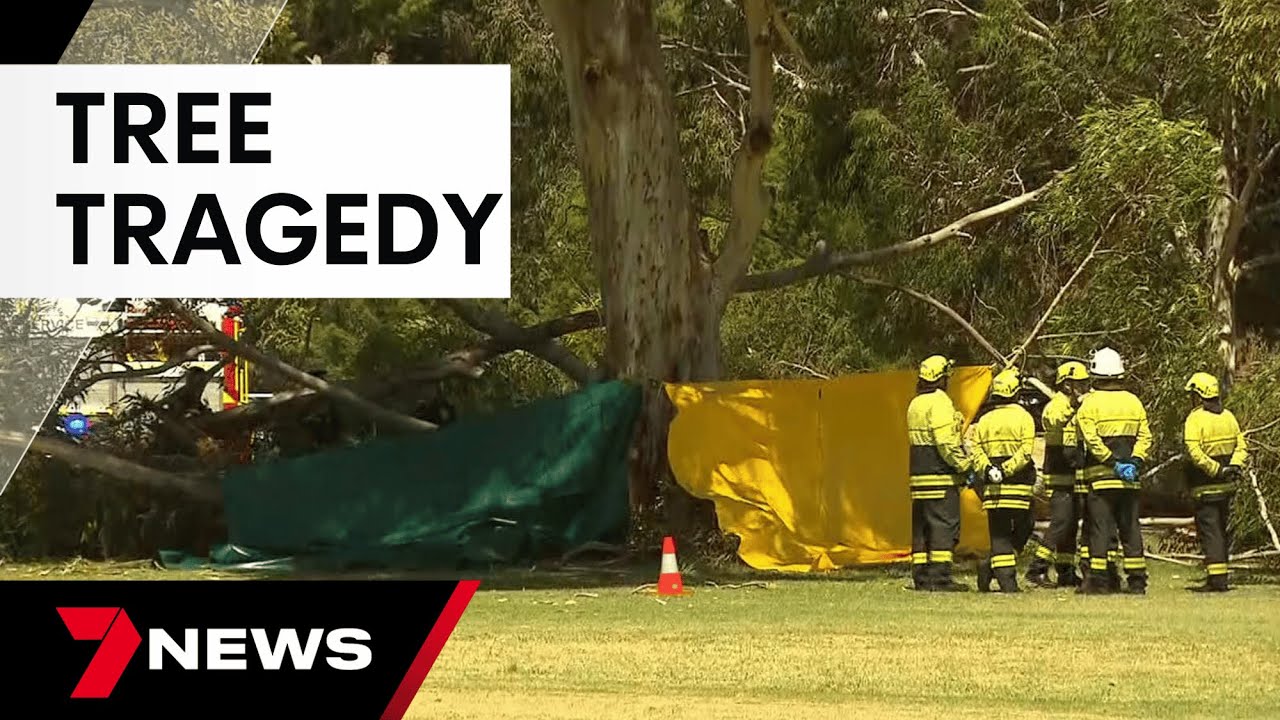 Young women sitting under tree crushed to death at North Adelaide | 7 ...